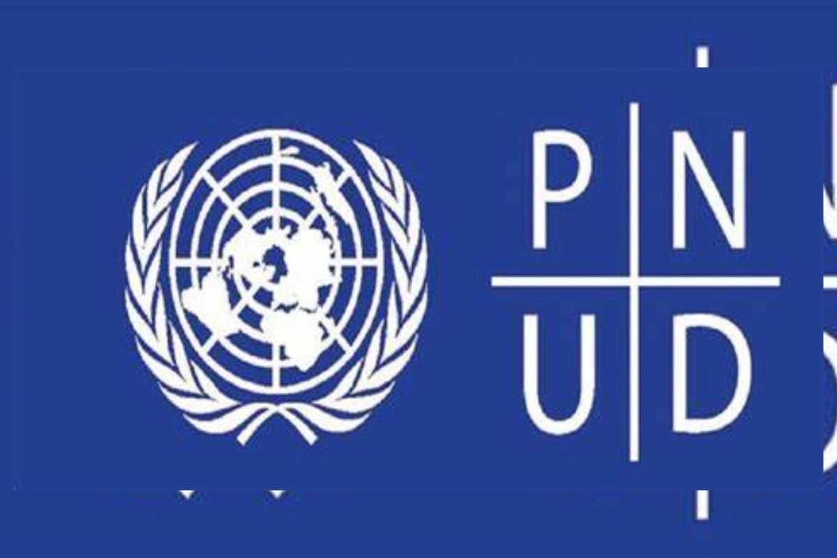 Le Programme des Nations unies pour le développement (PNUD) recrute ...