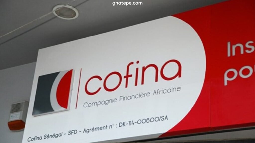 Togo : le groupe COFINA recrute pour ces postes - Gnatepe