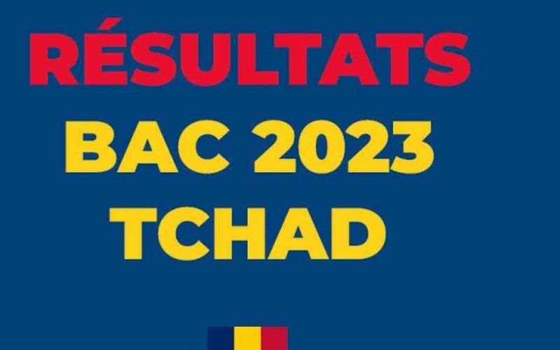 Tchad/Bac 2: le taux de réussite au premier tour disponible - Gnatepe